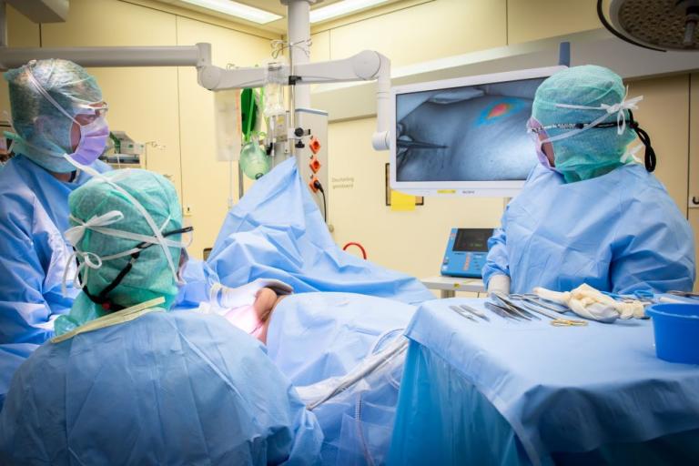 Campagne | Franciscus